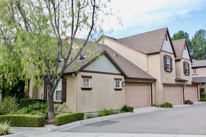 Three Vines Condos, Lofts & Townhomes For Sale | Three Vines Real ...