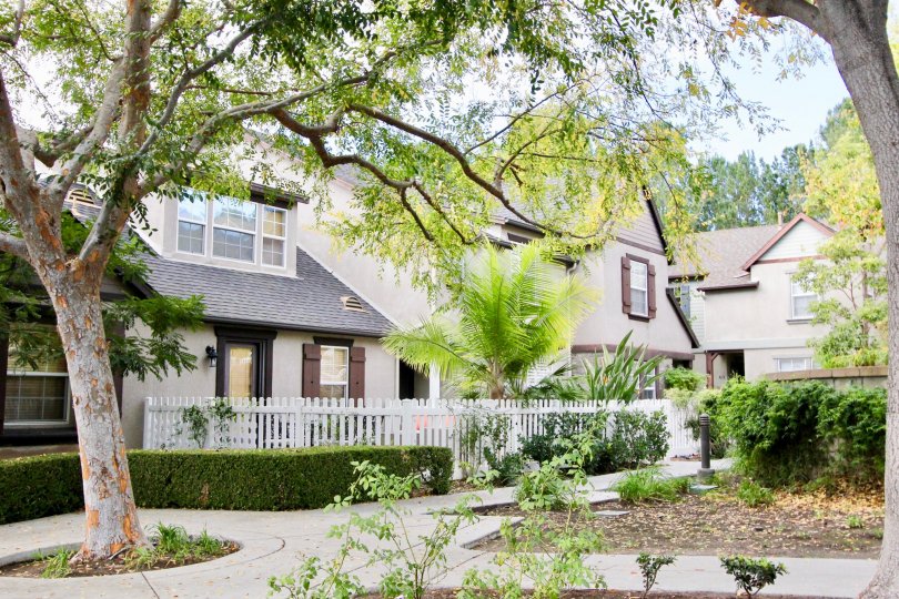 Three Vines Condos, Lofts & Townhomes For Sale | Three Vines Real ...