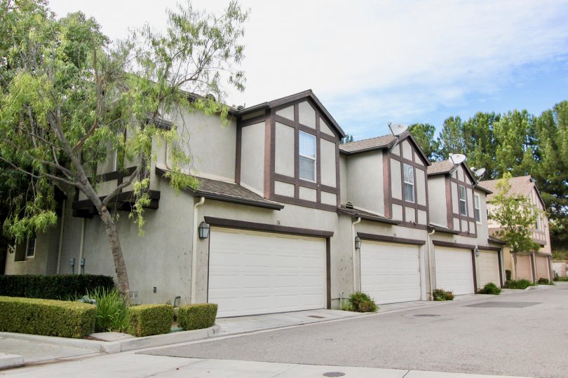 Three Vines Condos, Lofts & Townhomes For Sale | Three Vines Real ...