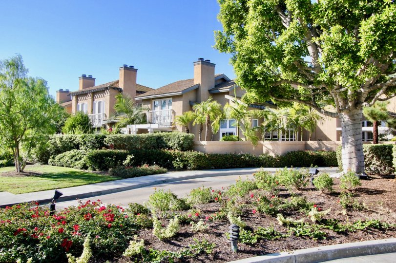 Cameray Pointe Condos, Lofts & Townhomes For Sale | Cameray Pointe Real ...