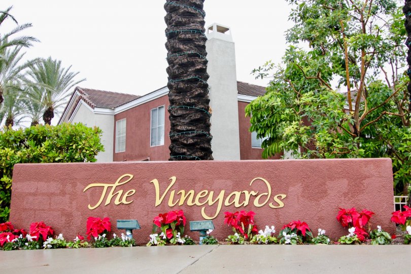 The Vineyards Condos, Lofts & Townhomes For Sale | The Vineyards Real ...