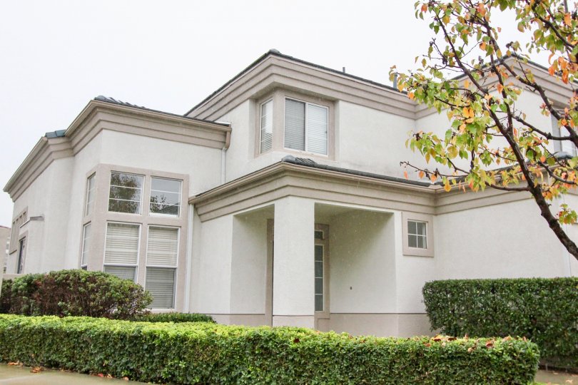 Lake Ridge Condos, Lofts & Townhomes For Sale | Lake Ridge Real Estate ...