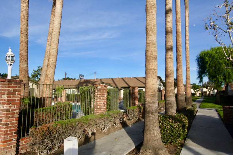 Coco Palms Condos, Lofts & Townhomes For Sale | Coco Palms Real Estate ...