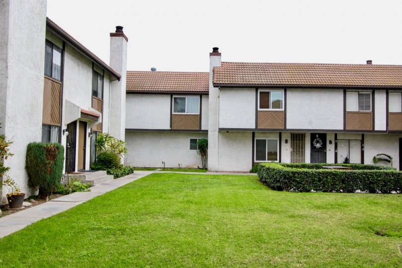 Lemon Tree Condos, Lofts & Townhomes For Sale | Lemon Tree Real Estate ...