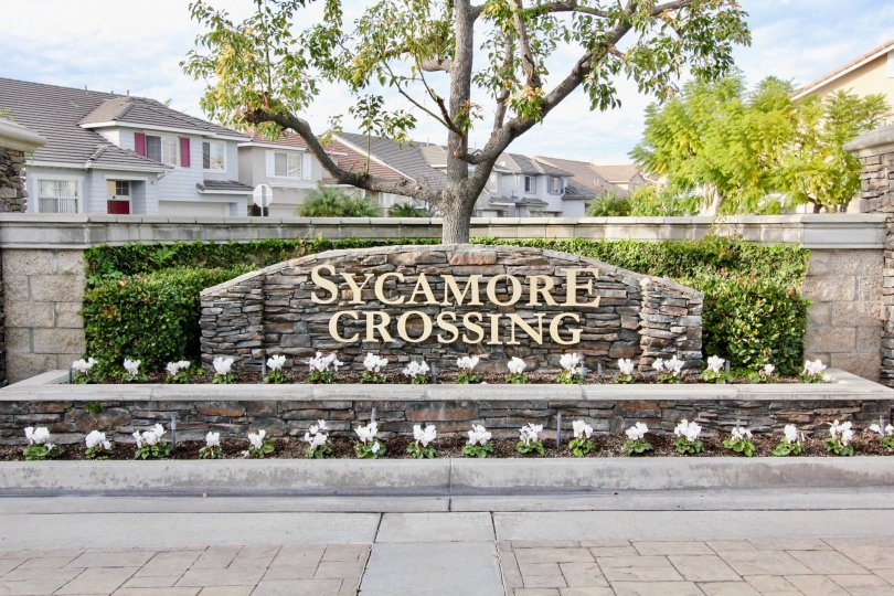 Sycamore Crossing Condos, Lofts & Townhomes For Sale | Sycamore ...