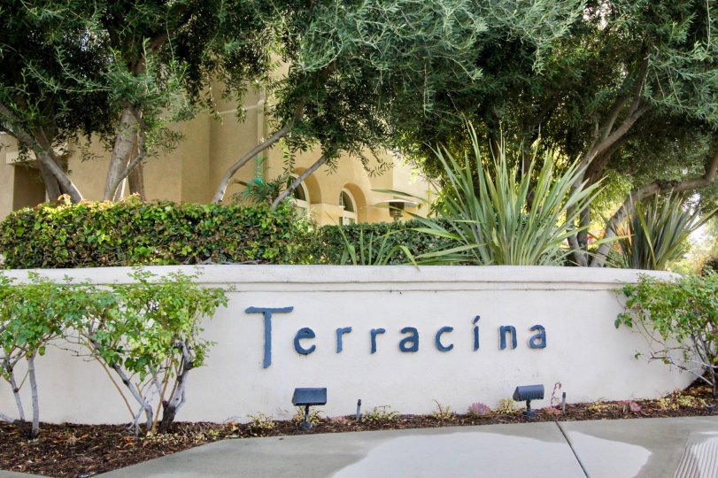 Terracina Condos, Lofts & Townhomes For Sale | Terracina Real Estate ...