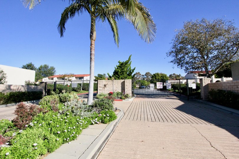 Summer Place Condos, Lofts & Townhomes For Sale | Summer Place Real ...