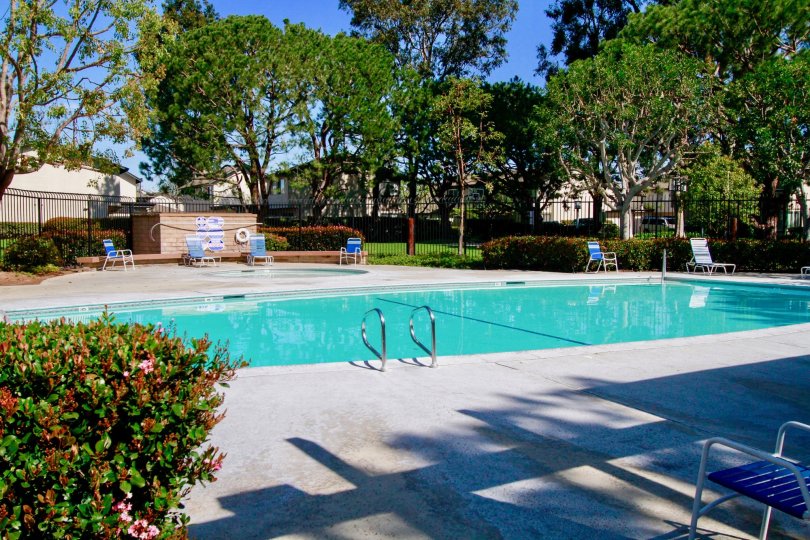 Windwood Forest Condos, Lofts & Townhomes For Sale | Windwood Forest ...