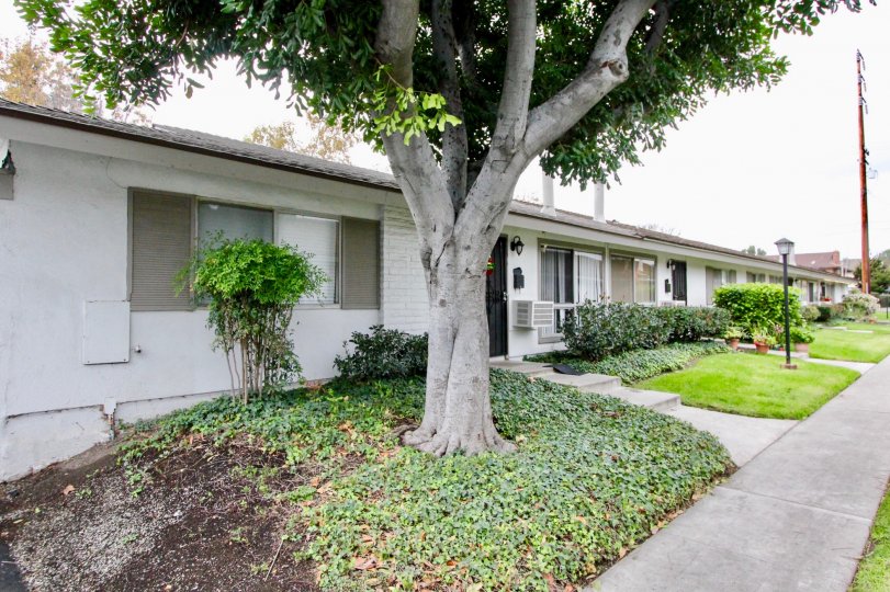 Sycamore Gardens Condos, Lofts & Townhomes For Sale | Sycamore Gardens ...