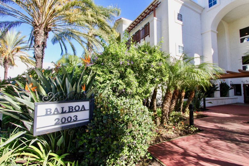 Balboa Building Condos, Lofts & Townhomes For Sale | Balboa Building ...