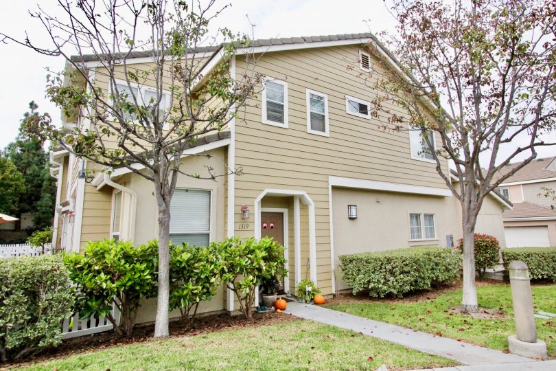 Cherry Tree Walk Condos, Lofts & Townhomes For Sale | Cherry Tree Walk ...