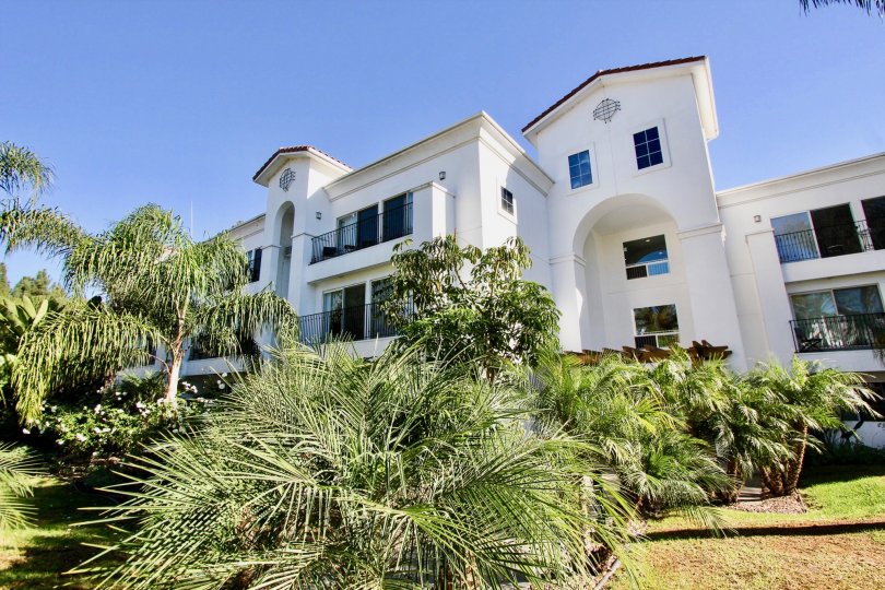 Cortez Building Condos, Lofts & Townhomes For Sale | Cortez Building ...