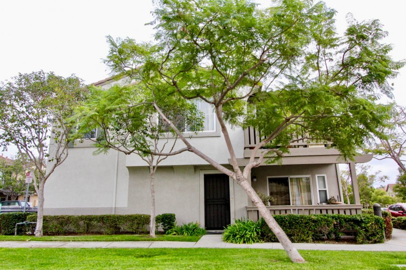Serrano Condos, Lofts & Townhomes For Sale | Serrano Real Estate ...