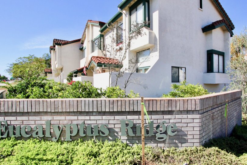 Eucalyptus Ridge Condos, Lofts & Townhomes For Sale | Eucalyptus Ridge ...