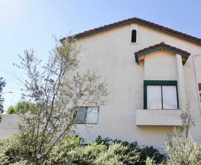 Eucalyptus Ridge Condos, Lofts & Townhomes For Sale | Eucalyptus Ridge ...