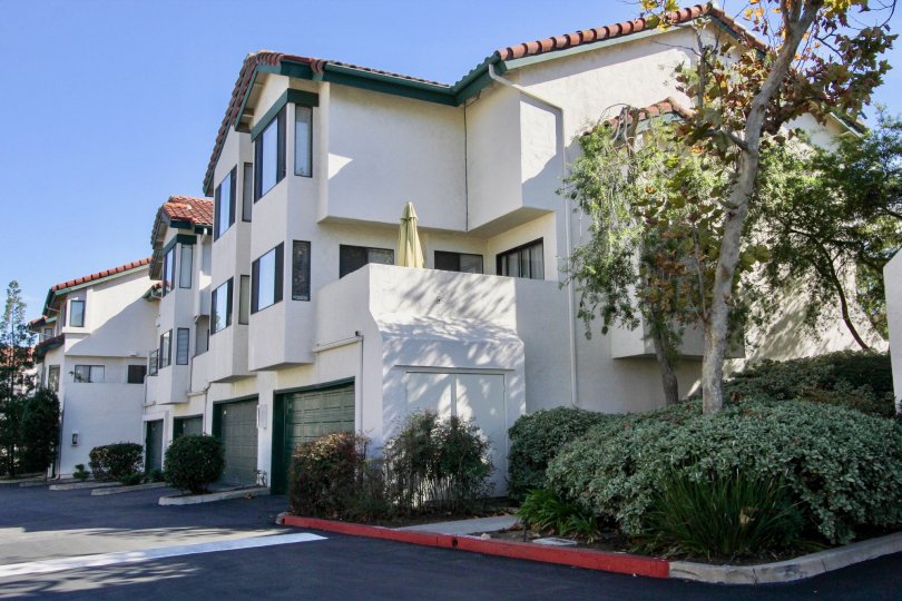 Eucalyptus Ridge Condos, Lofts & Townhomes For Sale | Eucalyptus Ridge ...