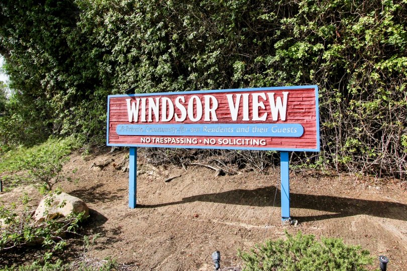 Windsor View Condos, Lofts & Townhomes For Sale | Windsor View Real ...