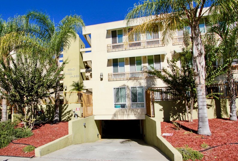 Campus Walk Condos, Lofts & Townhomes For Sale | Campus Walk Real ...