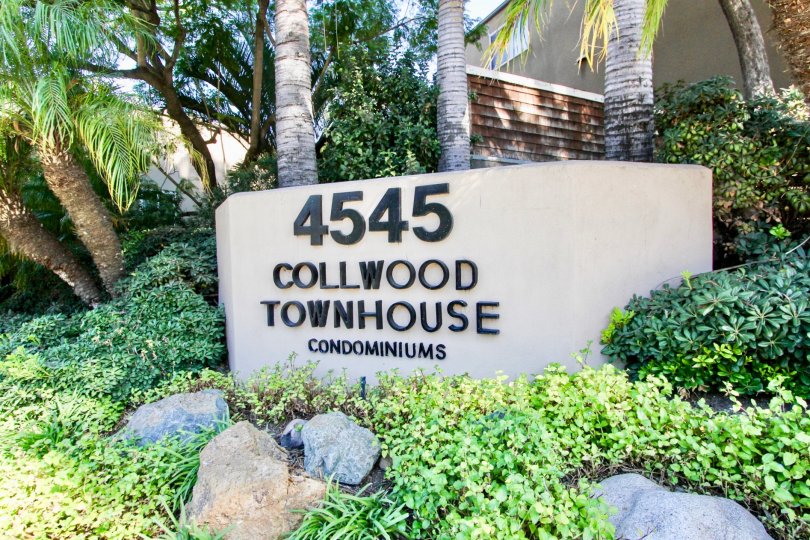 Collwood Townhomes Condos, Lofts & Townhomes For Sale | Collwood ...