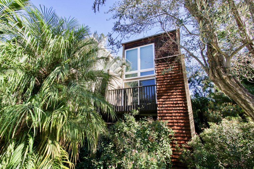 Collwood Townhomes Condos, Lofts & Townhomes For Sale | Collwood ...