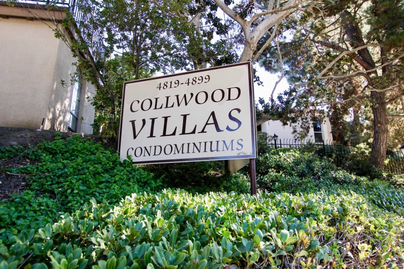 Collwood Villas Condos, Lofts & Townhomes For Sale | Collwood Villas ...