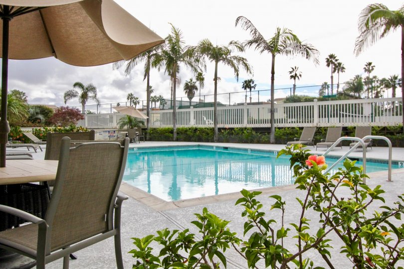 Montego Village Condos, Lofts & Townhomes For Sale | Montego Village ...