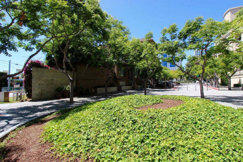 Brickyard Condos, Lofts & Townhomes For Sale | Brickyard Real Estate ...