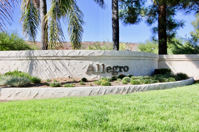 Allegro Condos, Lofts & Townhomes For Sale | Allegro Real Estate ...