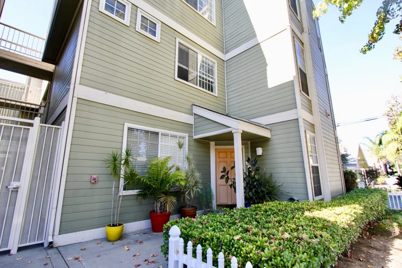 Arbor Village Condos, Lofts & Townhomes For Sale | Arbor Village Real ...