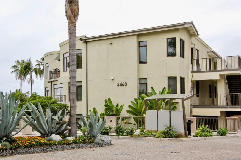 Seahaus Condos, Lofts & Townhomes For Sale | Seahaus Real Estate ...