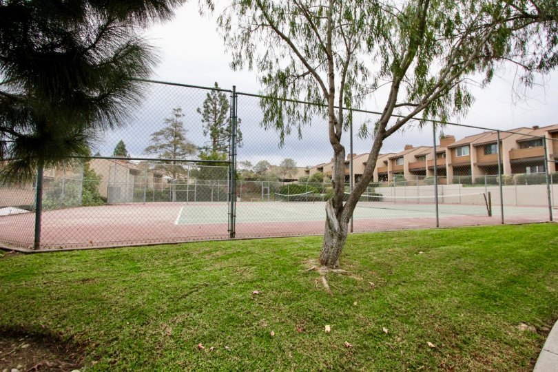 Fox Haven Condos, Lofts & Townhomes For Sale | Fox Haven Real Estate ...