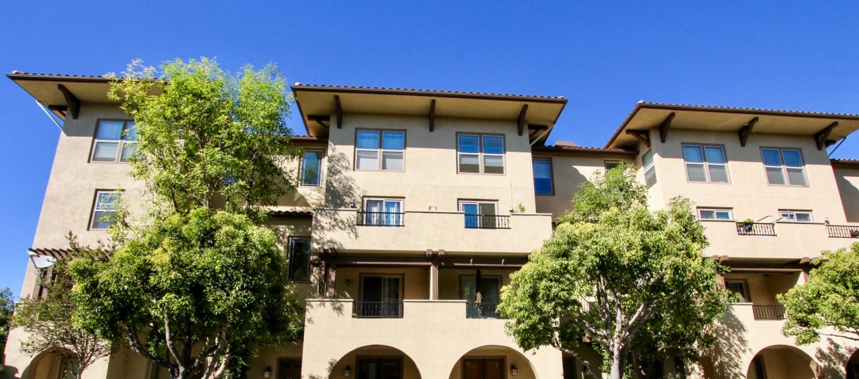 Mission Walk Condos, Lofts & Townhomes For Sale | Mission Walk Real ...