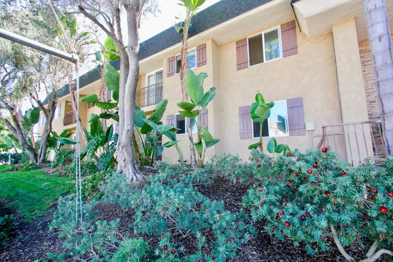 Adela Condos, Lofts & Townhomes For Sale | Adela Real Estate | Adela ...