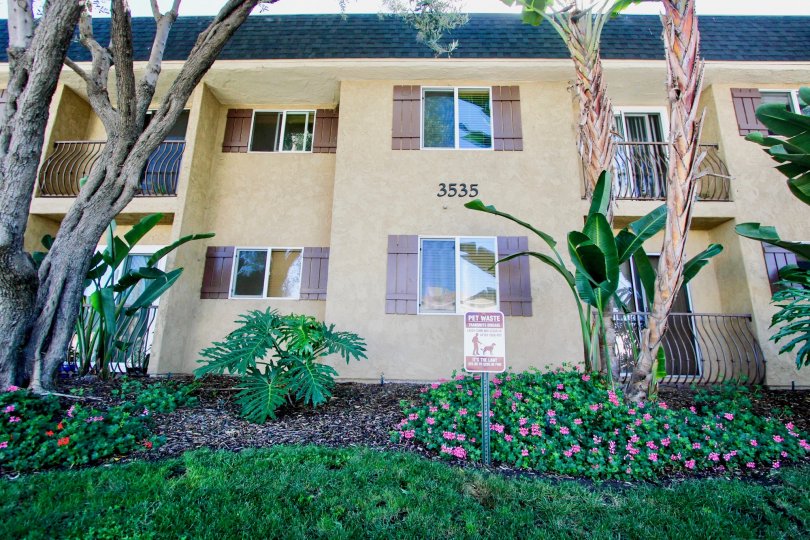 Adela Condos, Lofts & Townhomes For Sale | Adela Real Estate | Adela ...