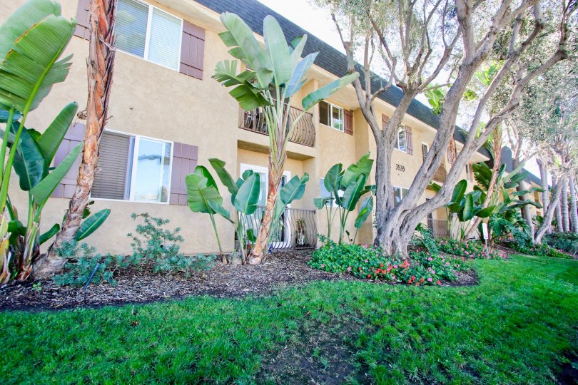 Adela Condos, Lofts & Townhomes For Sale | Adela Real Estate | Adela ...