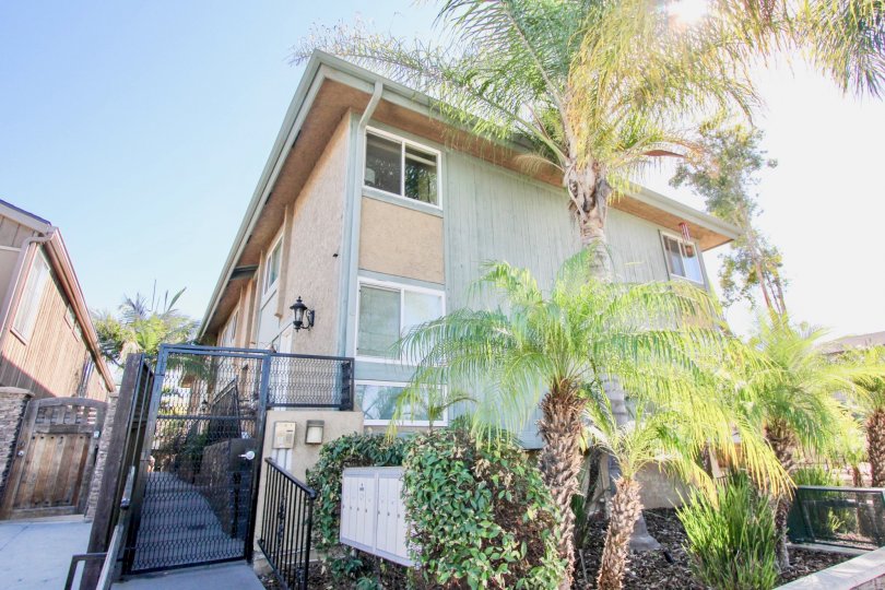 Felton Place Condos, Lofts & Townhomes For Sale | Felton Place Real ...