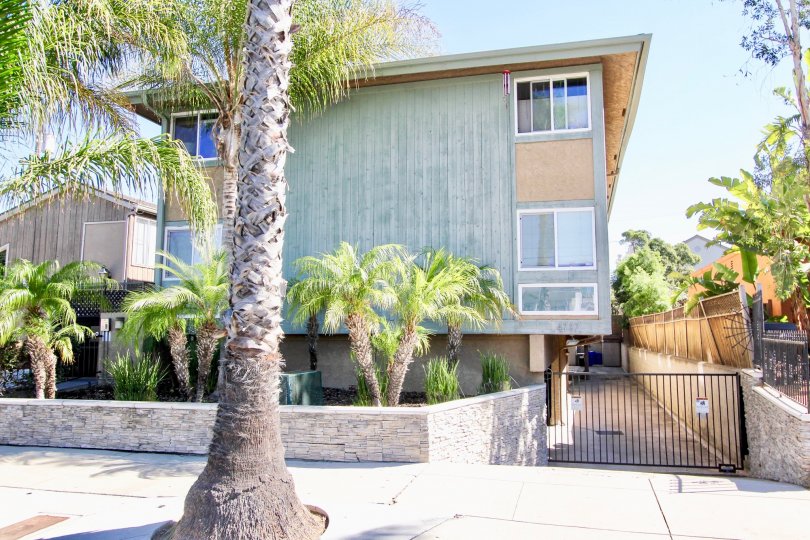 Felton Place Condos, Lofts & Townhomes For Sale | Felton Place Real ...