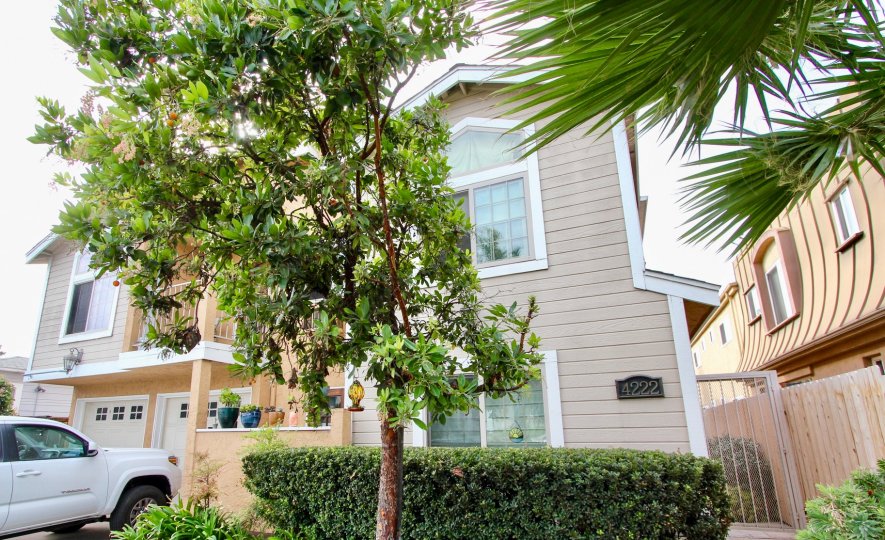 Felton Manor Condos, Lofts & Townhomes For Sale | Felton Manor Real ...