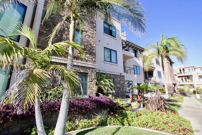 Montego Condominiums Condos, Lofts & Townhomes For Sale | Montego ...