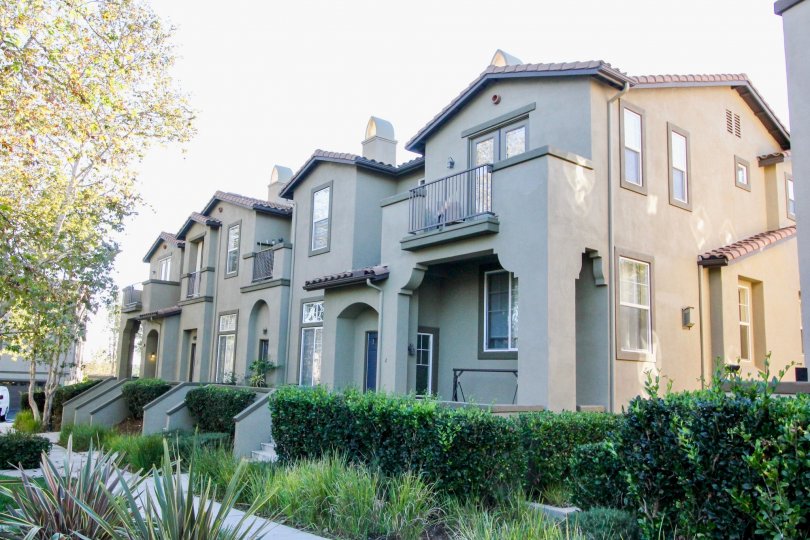 Sycamore Walk Condos, Lofts & Townhomes For Sale | Sycamore Walk Real ...