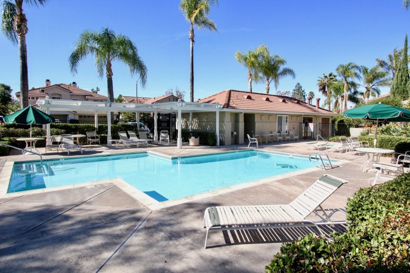 California Capri Condos, Lofts & Townhomes For Sale | California Capri ...