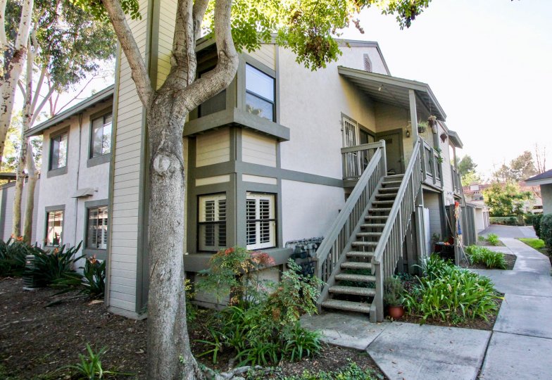 Shadowridge Club View Condos, Lofts & Townhomes For Sale | Shadowridge ...