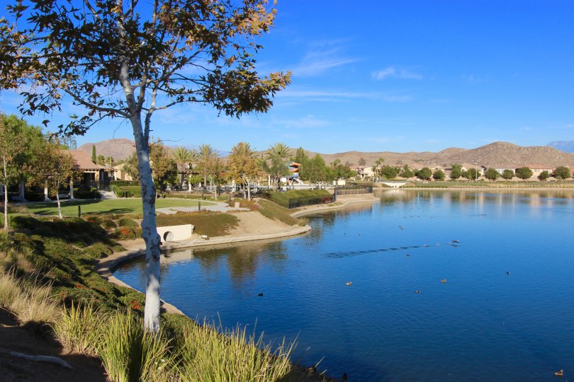 The Lakes Community Photos | The Lakes, Menifee CA | The Lakes Photo Tour