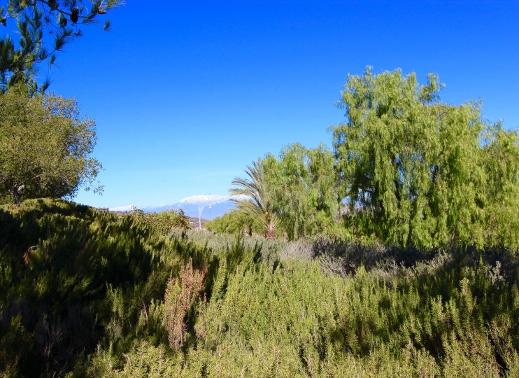 Trilogy Community Photos | Trilogy, Corona CA | Trilogy Photo Tour